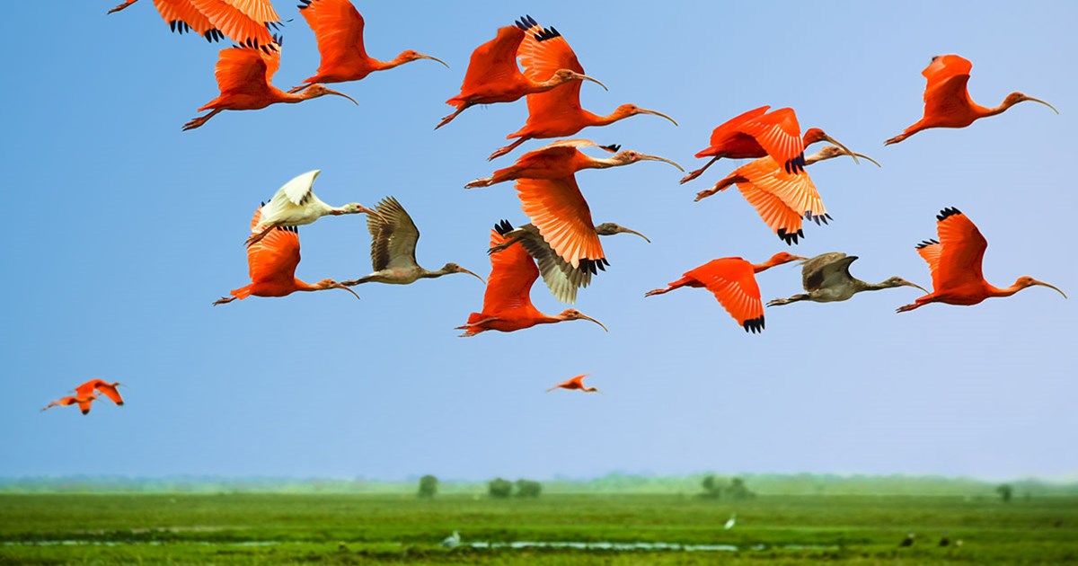 How to Migrate to Google Analytics 4 How to Migrate to Google Analytics 4